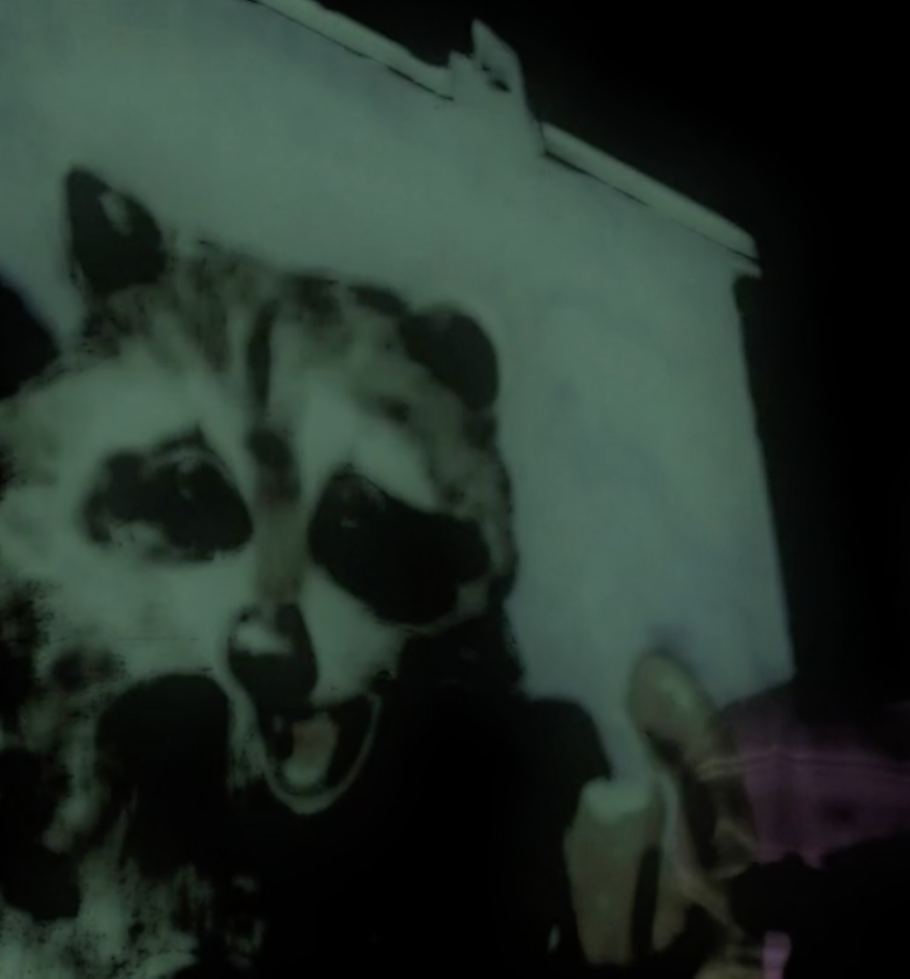 Raccoon - Thomas Devaney